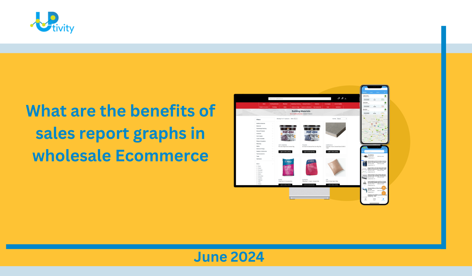 What are the benefits of sales report graphs in wholesale Ecommerce